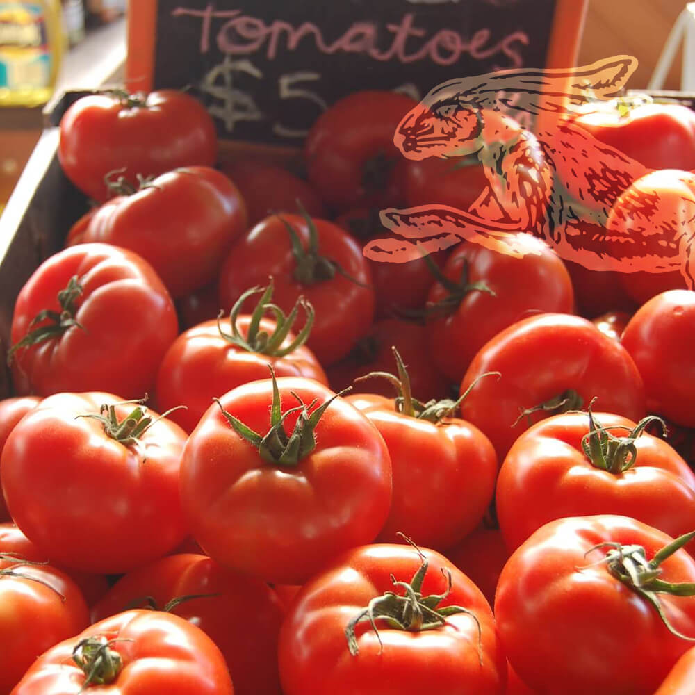 Paddock to Plate | Jack & Co Food Stores