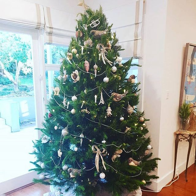 Real Christmas Trees